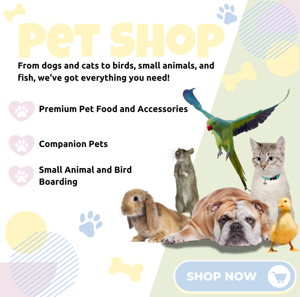 Animal Pet Care Supplies Ferntree Gully | Animal World of Boronia ...