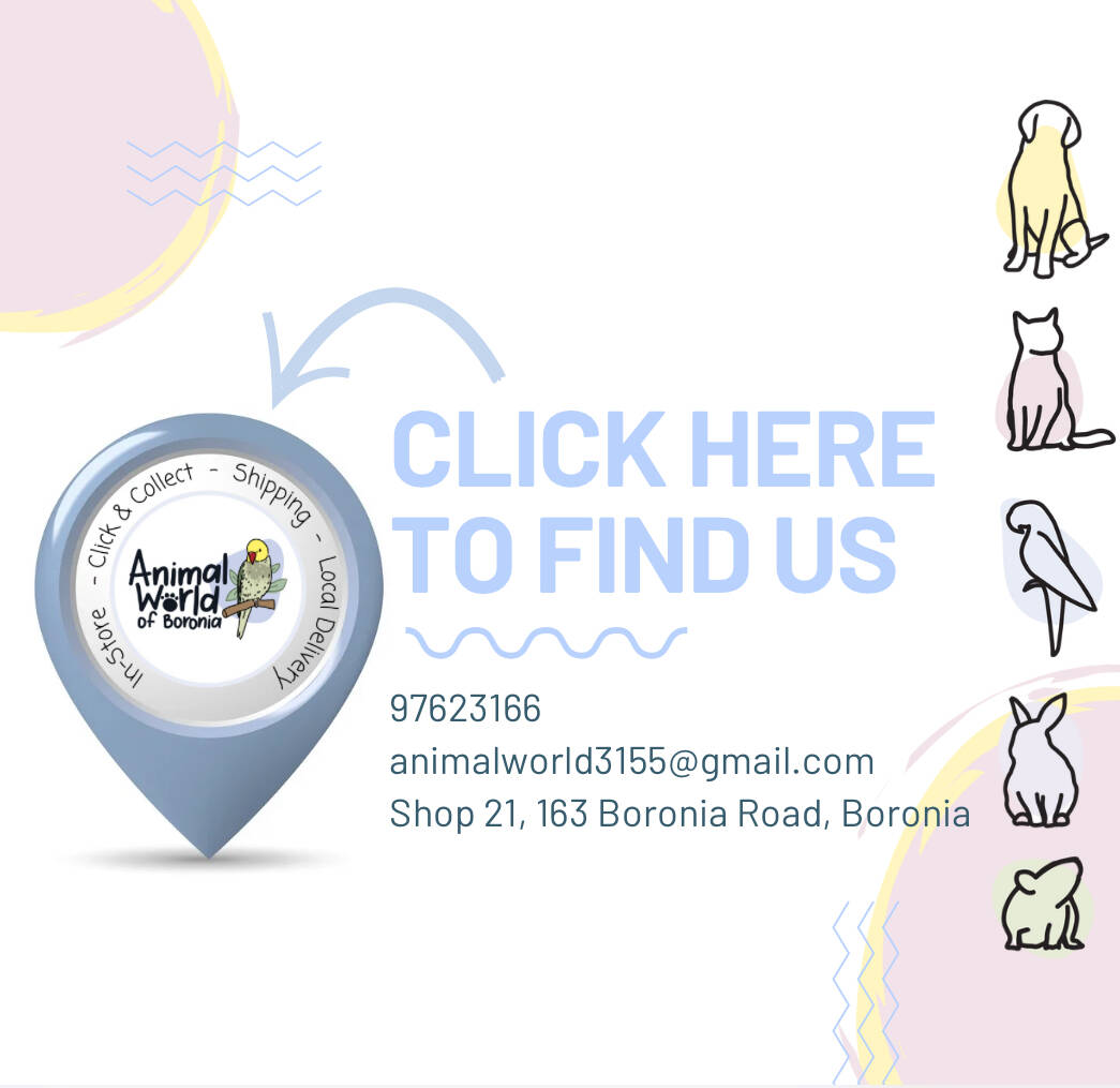 Animal Pet Care Supplies Ferntree Gully | Animal World of Boronia ...