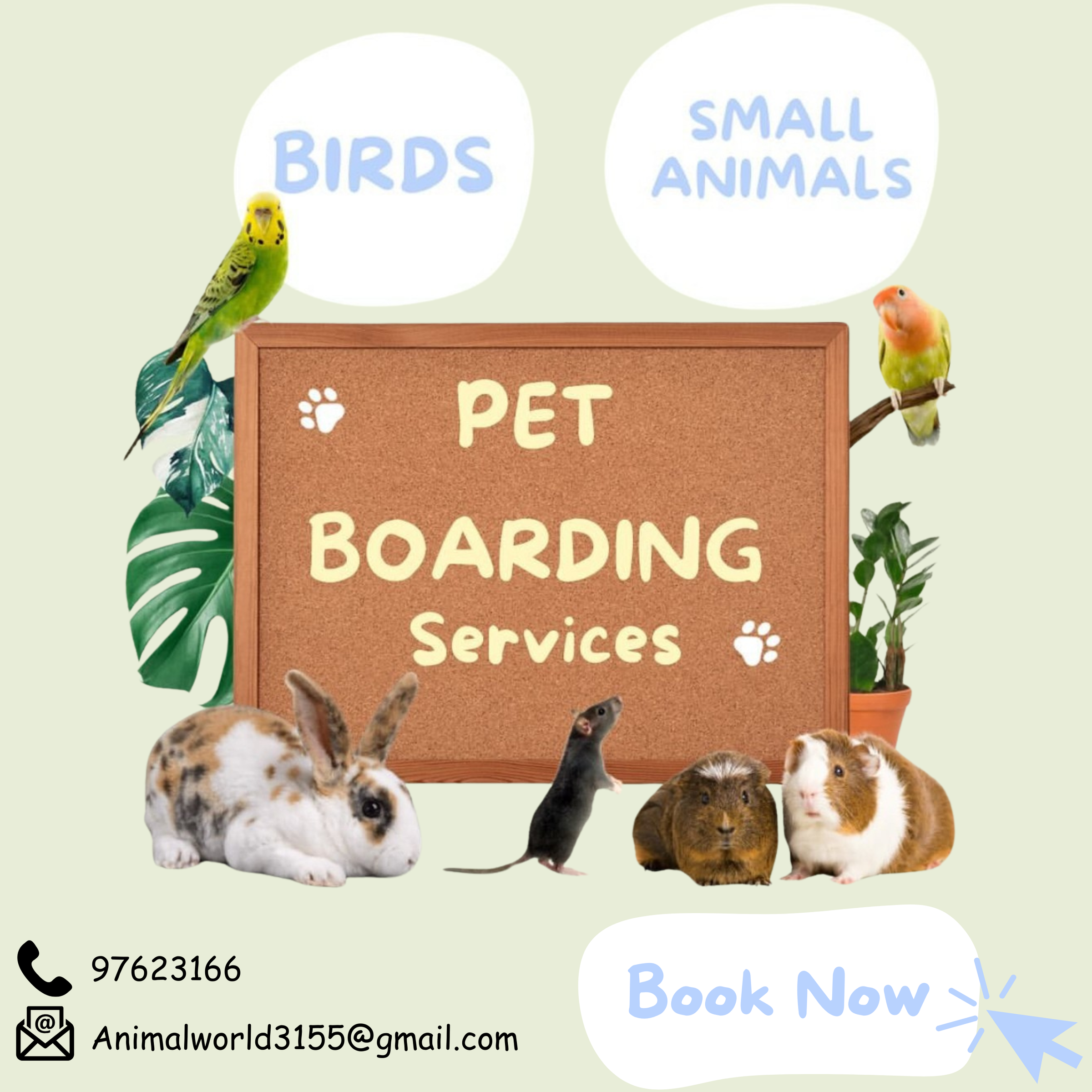 Animal Pet Care Supplies Ferntree Gully | Animal World of Boronia ...